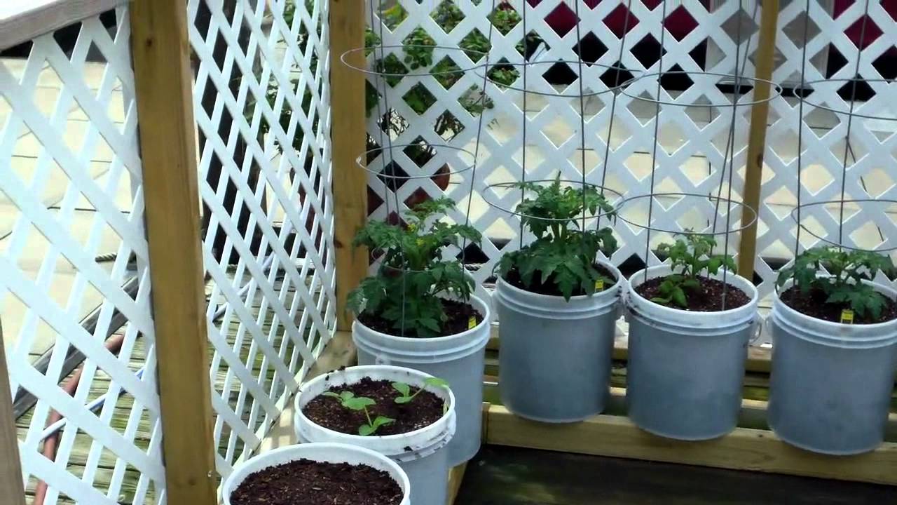 My brother Steve's Awesome Self Watering Rain Gutter Grow System On a ...