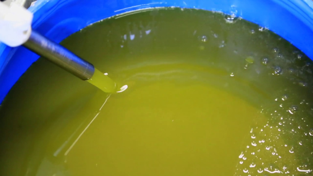 Olives to Oil: A Cyprus Tradition - YouTube