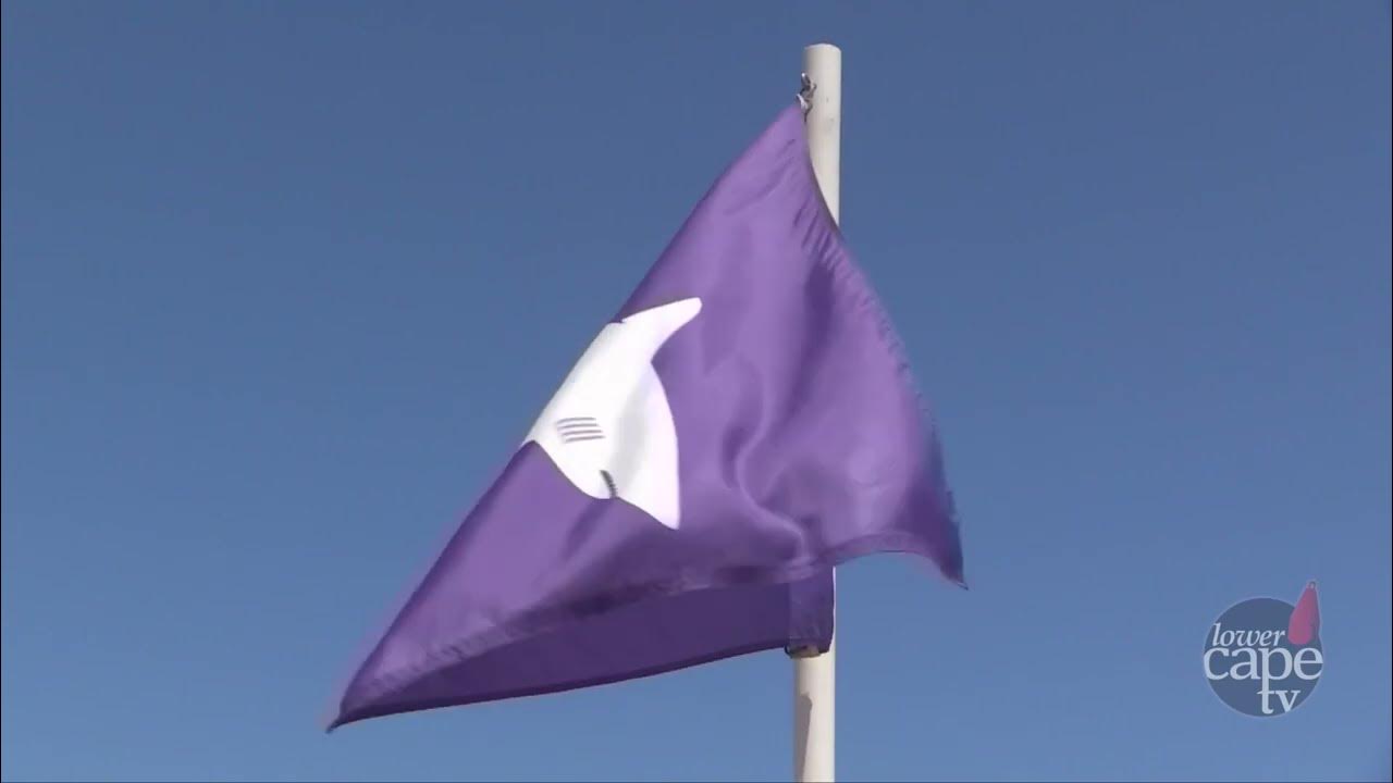 First Great White Shark Spotted off Cape Cod | 2024 Shark Season Begins - YouTube