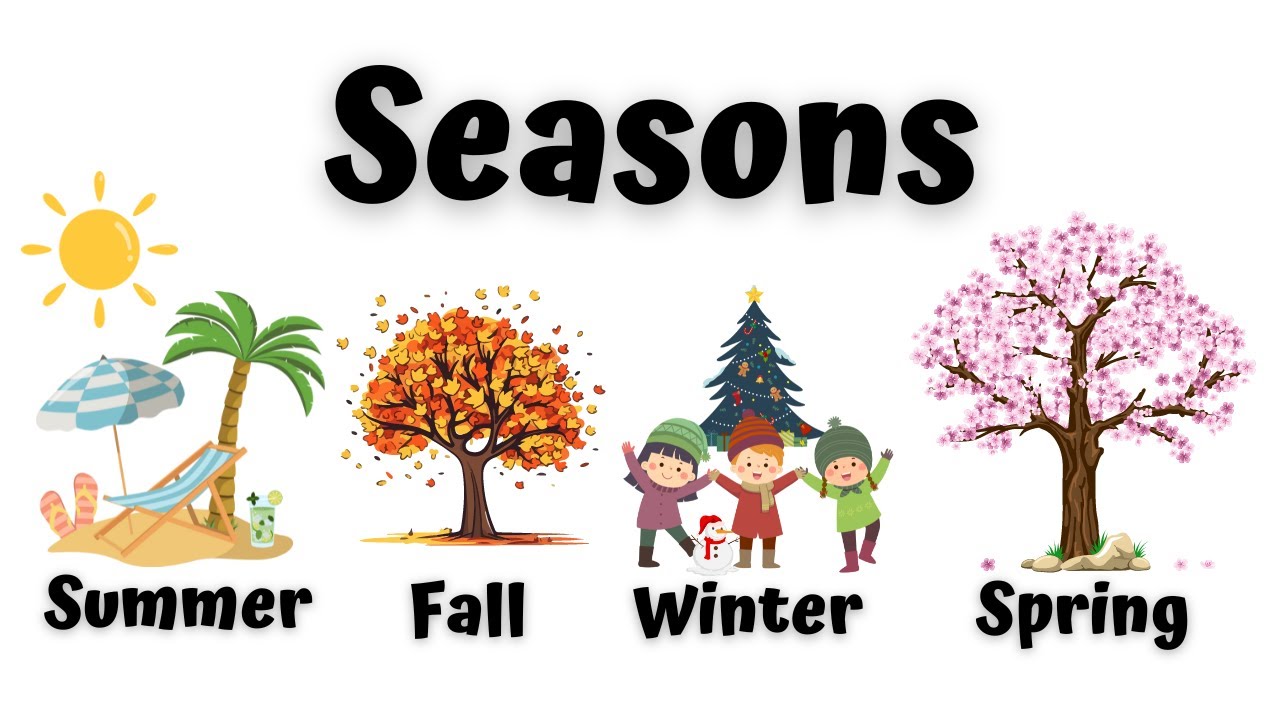 The four seasons of the year for kids - Seasons for kids - Summer, Fall ...