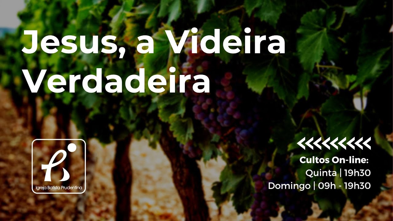 Jesus, a Videira Verdadeira - 26/02/2023 - YouTube