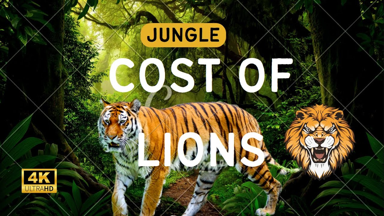 cost of having lions 2023 - YouTube