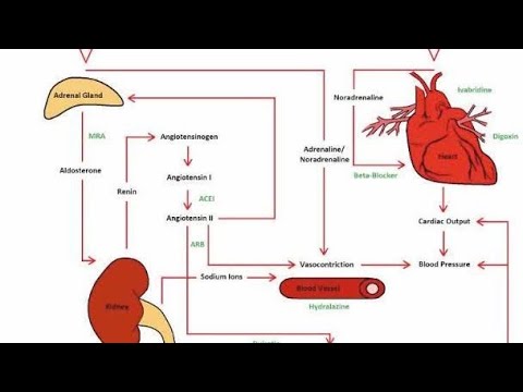 Using Aldosterone Antagonists to manage heart failure - YouTube