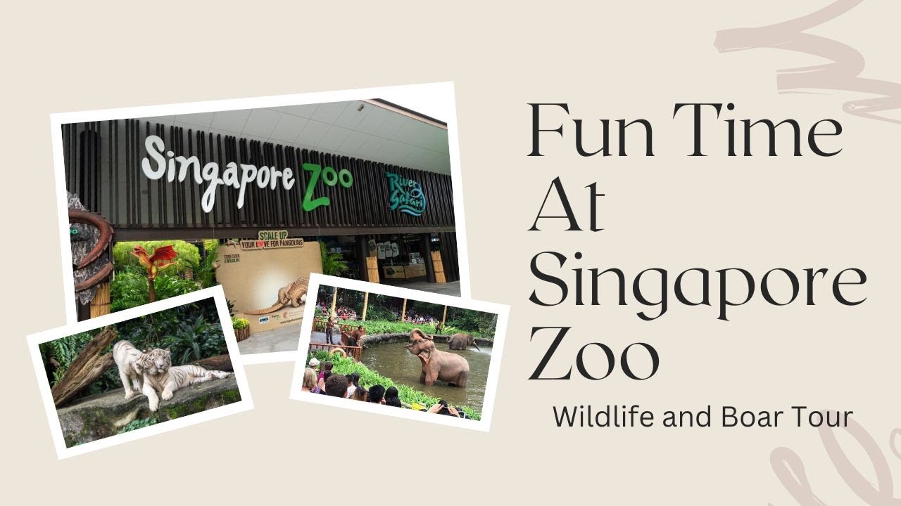 Singapore Zoo tour & boat ride | #singapore | #travel | #vlog | # ...
