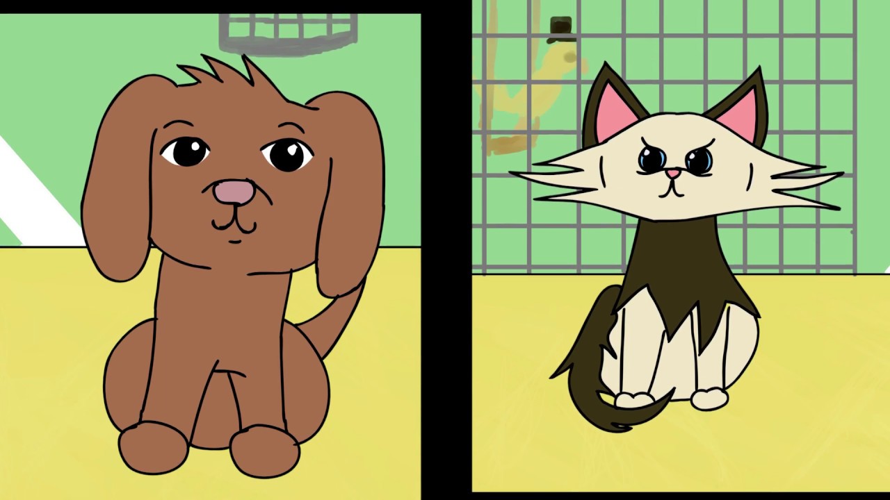 Pet Shop - Original Animation - YouTube