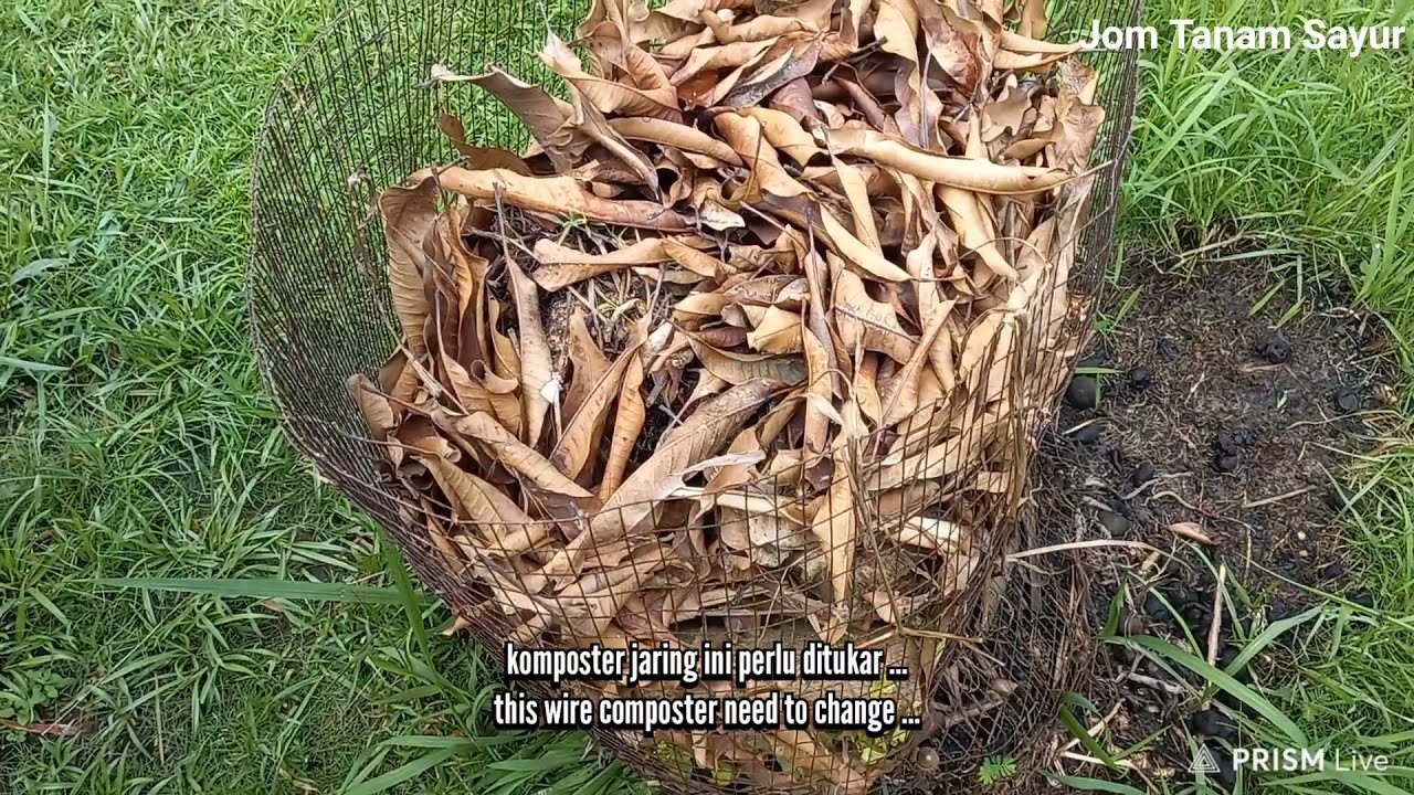 #244 Bina Tong Kompos Mudah Guna Papan Pallet | Making Simple Compost ...