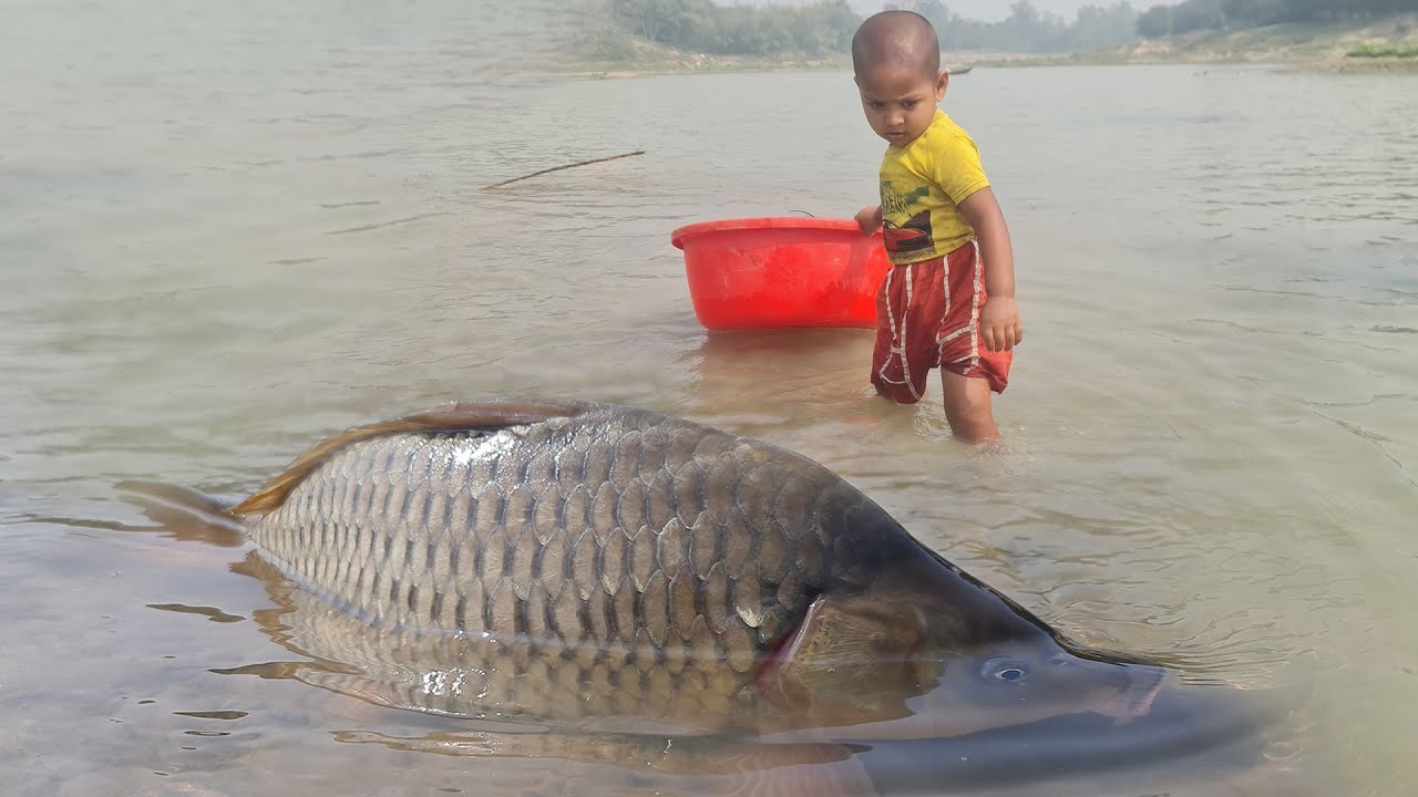 Amazing Boy Catching Fish By Hand | Traditional Little Catching Big ...