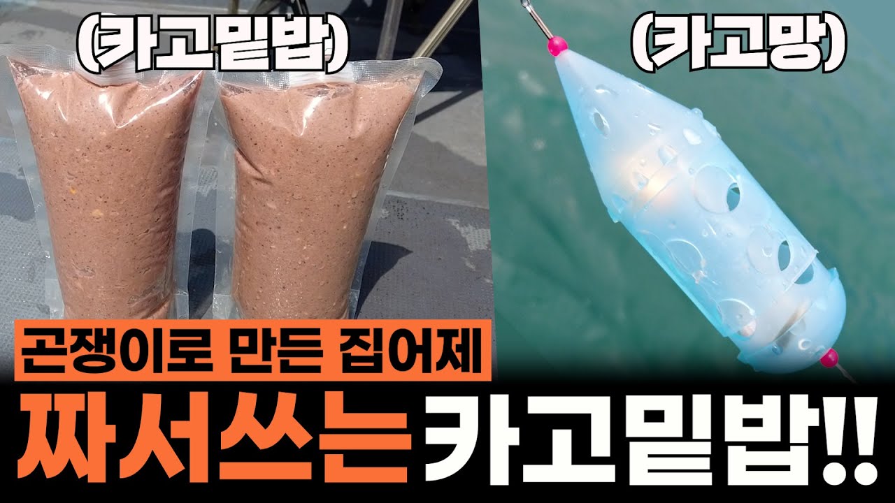 곤쟁이 밑밥으로 카고 찌낚시를 해봤습니다 I 박과장tv Youtube