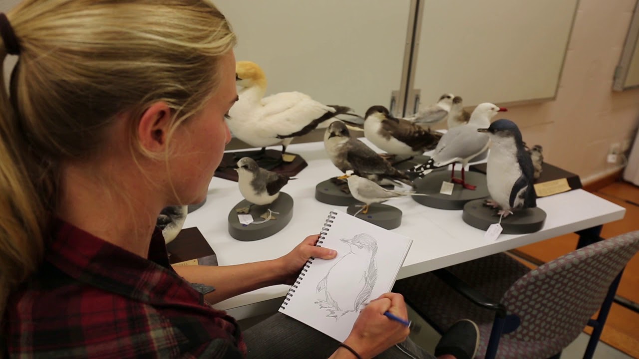 Sketch biologist: Abby McBride - YouTube