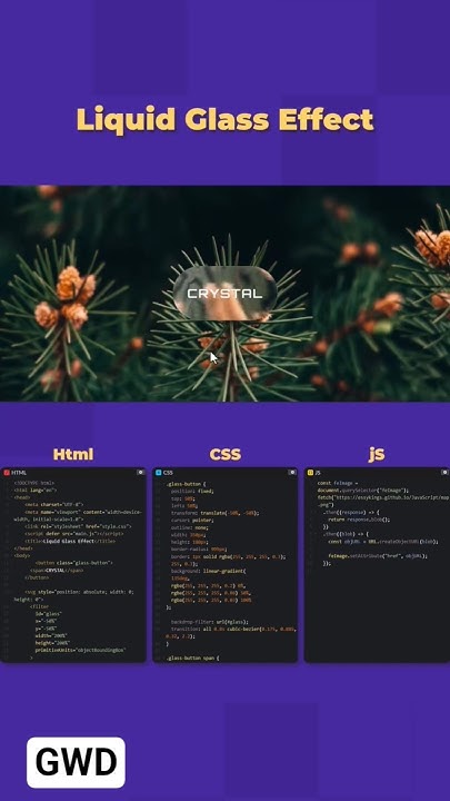 Liquid Effect #coding #webdesign #css #javascript #python #shorts #viralvideo #tranding # ...