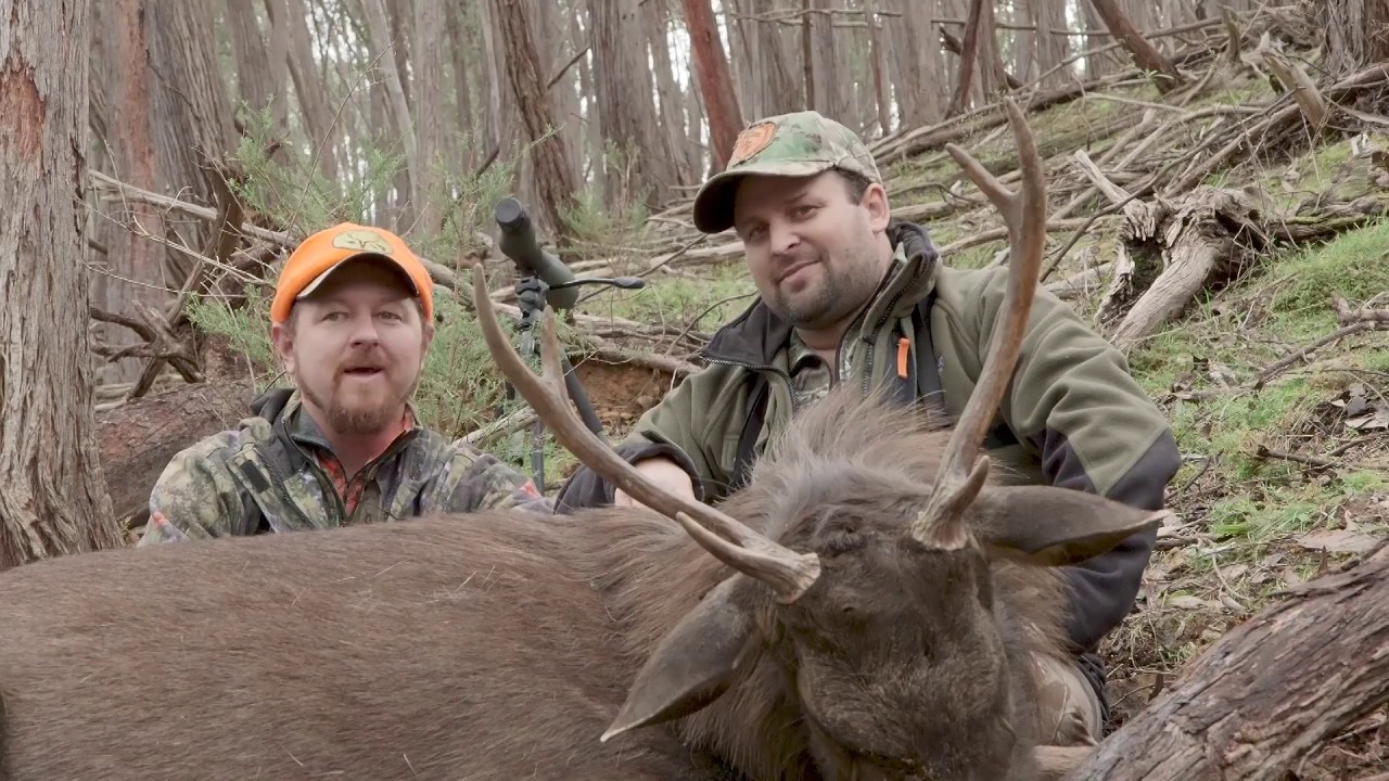 Aussie Hunting Adventures Season 3 EP01 - YouTube