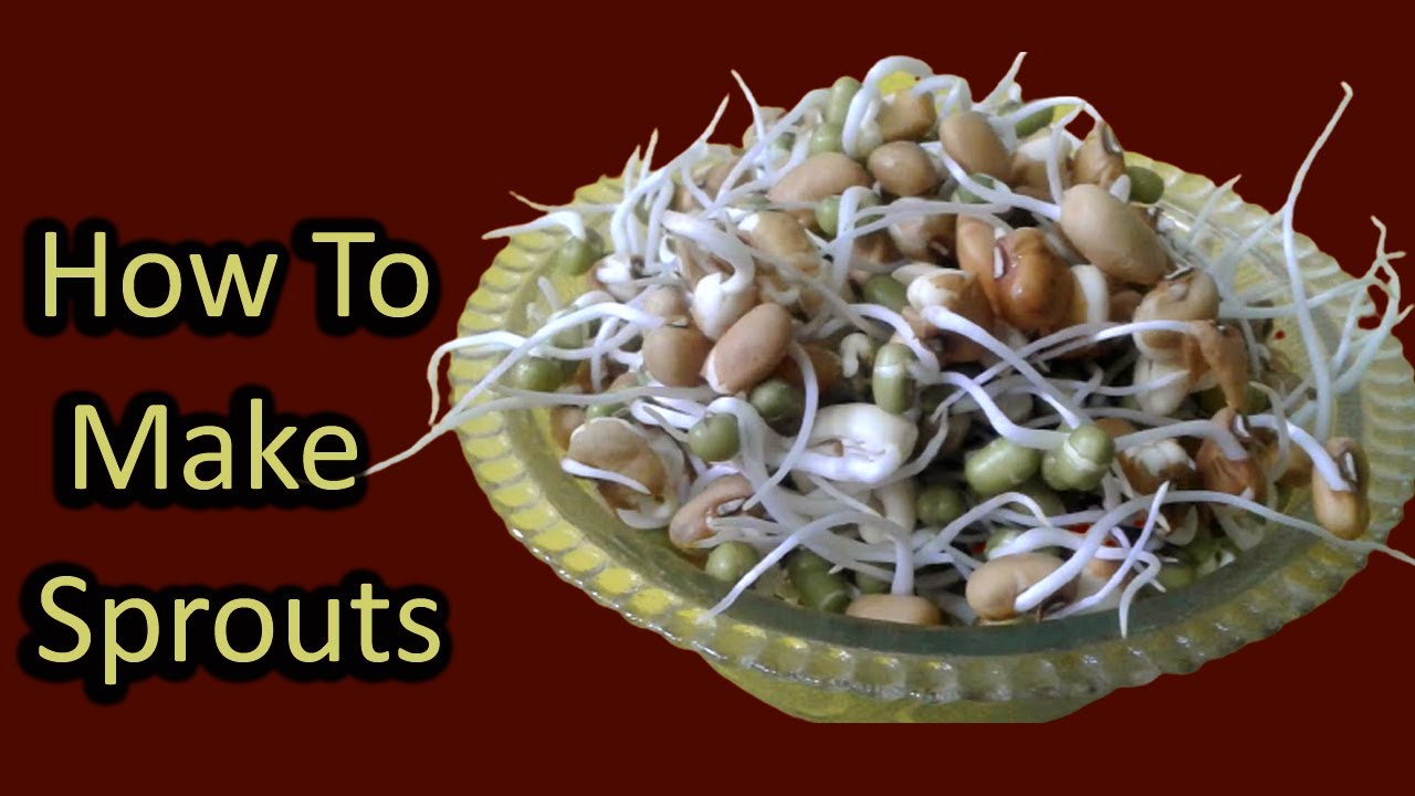 How To Make Sprouts At Home | How To Make Molakalu - YouTube