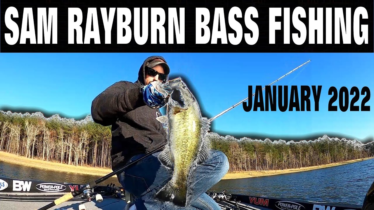 More Winter Bass Fishing on Lake Sam Rayburn - YouTube