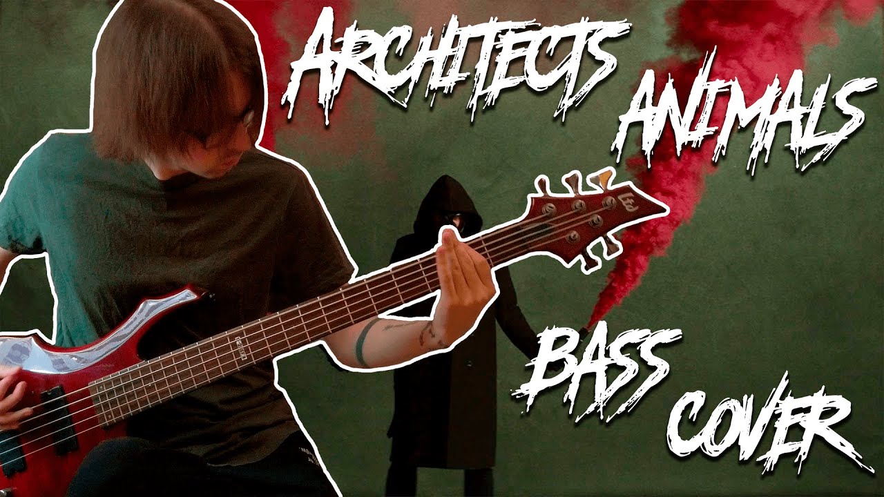 Architects - Animals || Bass Cover + Onscreen Tabs || by Phil McGrove ...