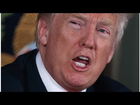 US southern states heed Trump's call and send hundreds of troops to ...