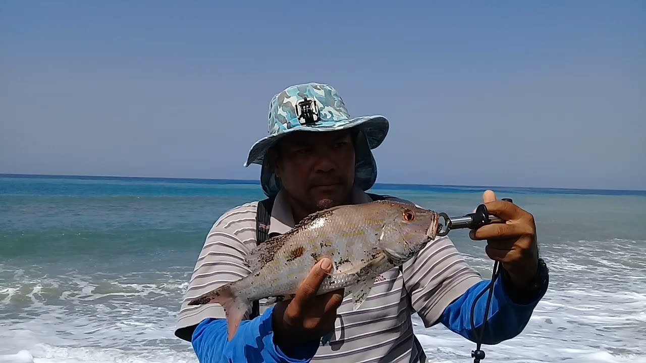 Solo trip targeting dinner size snappers (Lane snapper & Gray snapper ...
