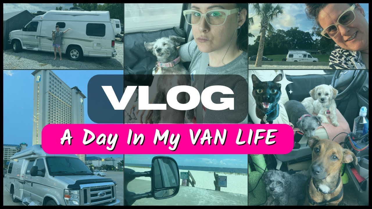 Van Life Vlog - I want this Dog! 🚐 + 🐶 | A Day In The Life - YouTube