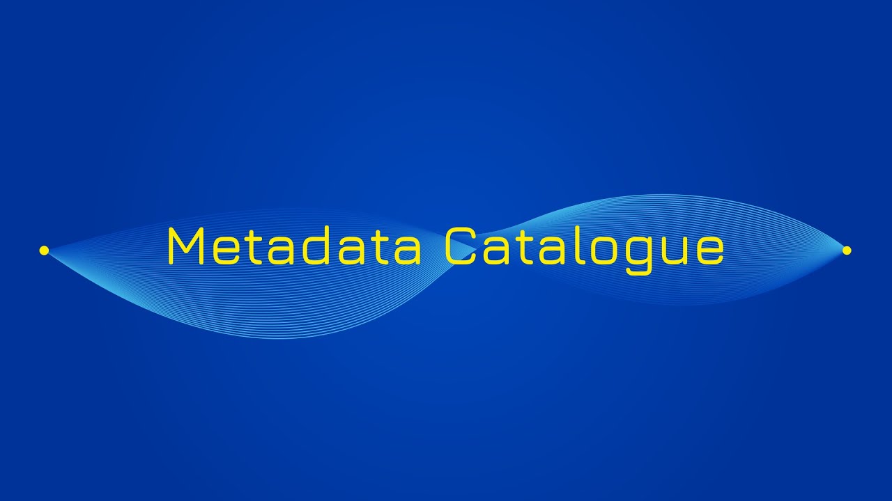 Metadata Catalogue tutorial: Unified access to AI assets - YouTube