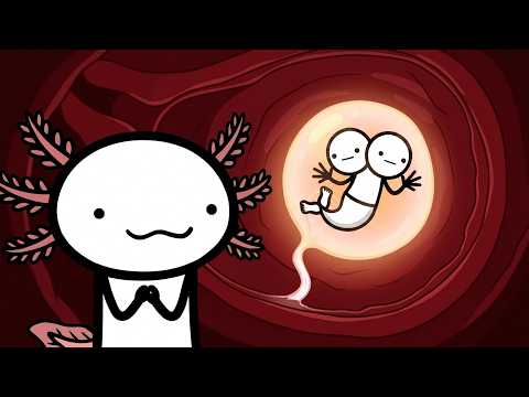 The Rarest Human Body You Could Ever Be Born With