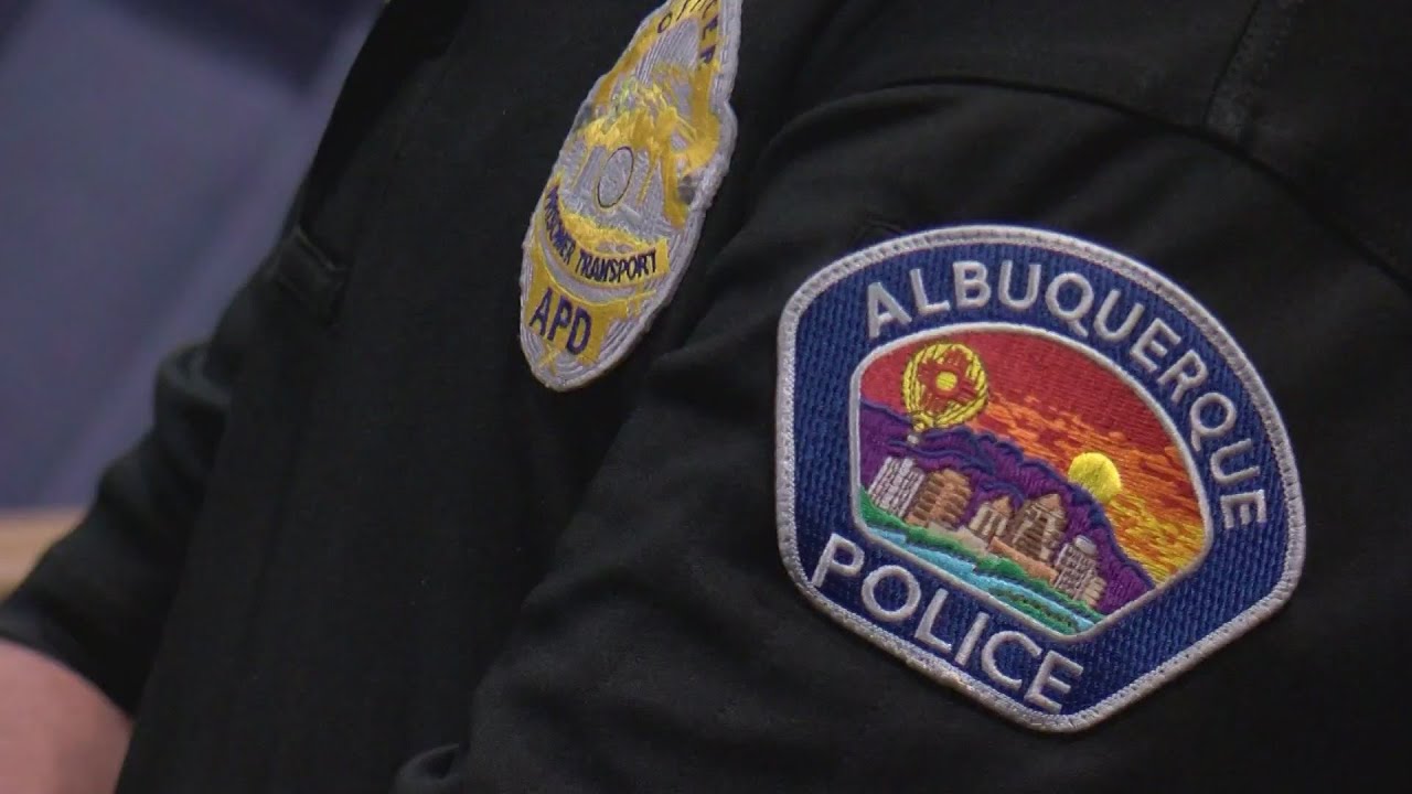 City Council President Pat Davis asking community about defunding APD ...