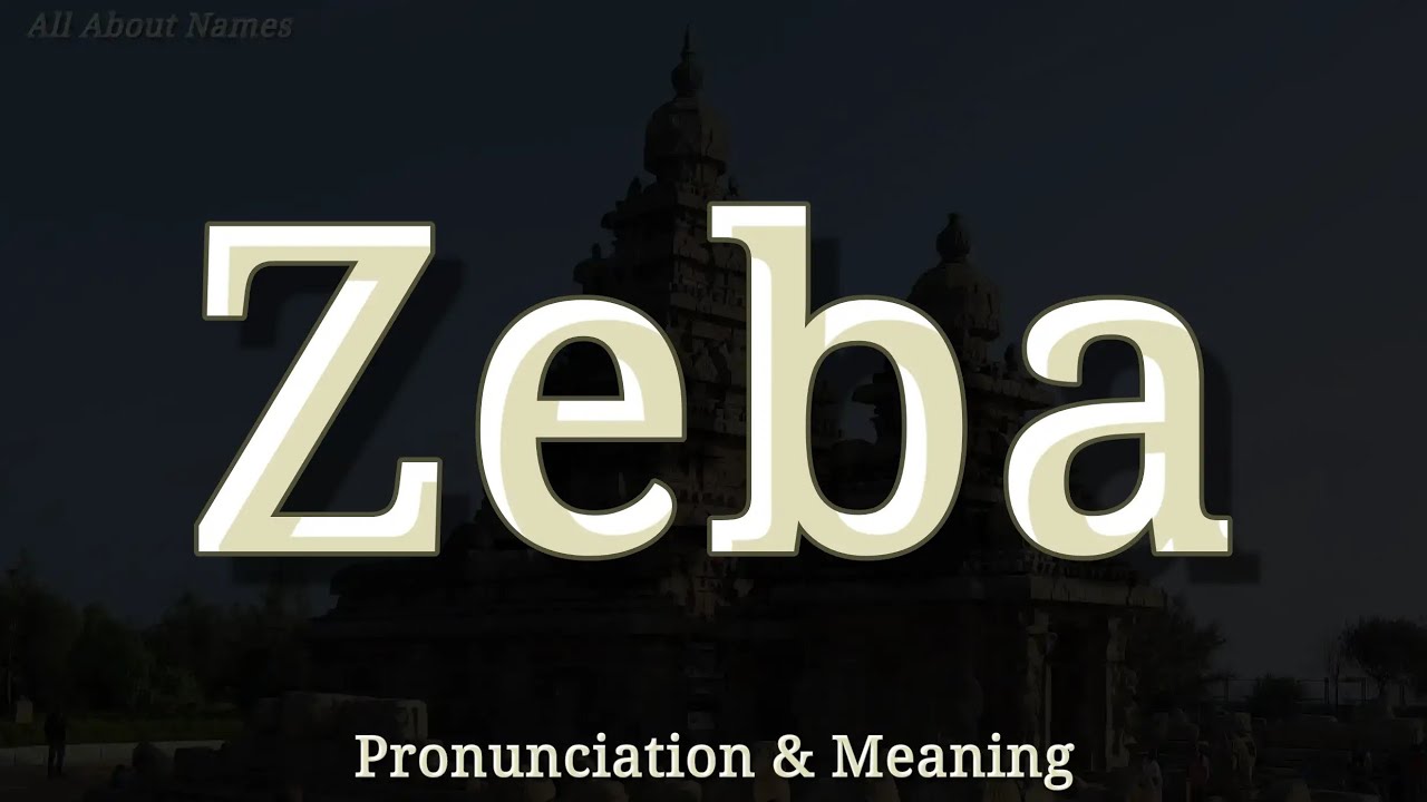 Zeba Name Zeba Islamic Girl Name Meaning And Pronunciation