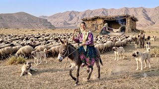 A Day with an Iranian Shepherd Girl | Traditional Bread Baking & Authentic Mountain Village Life