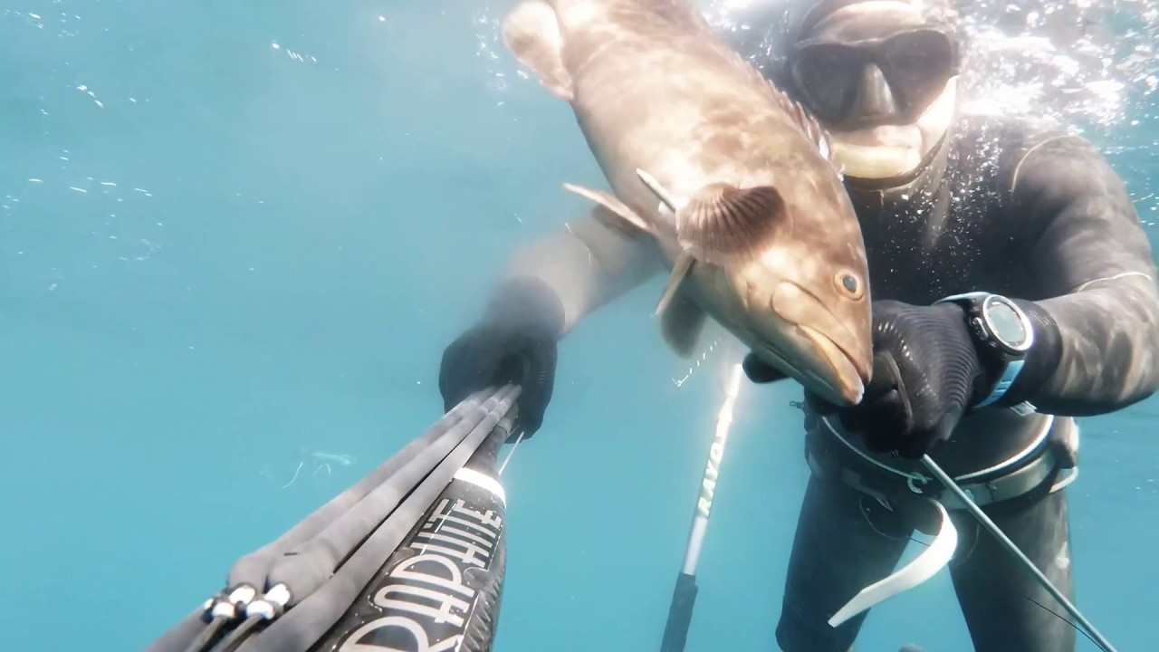 WINTER 2016-17 SPEARFISHING - ΨΑΡΟΝΤΟΥΦΕΚΟ - YouTube