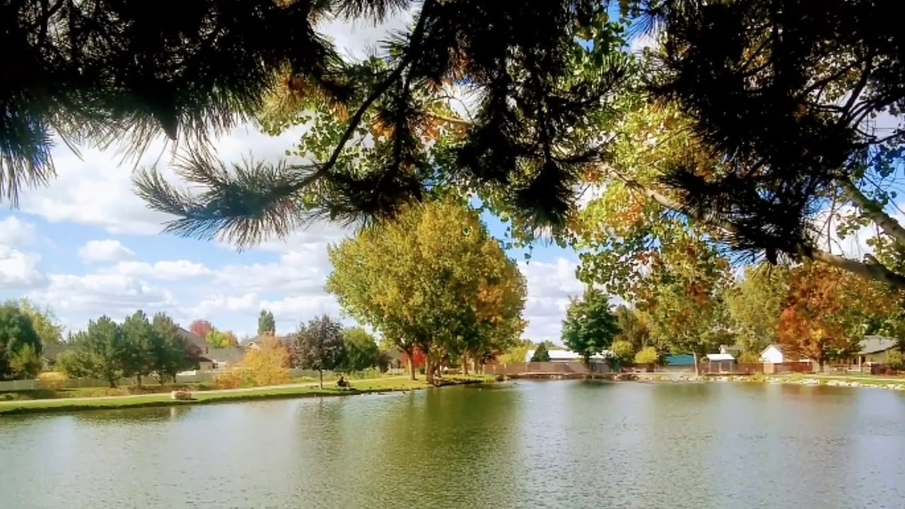 Fuller Park again - YouTube