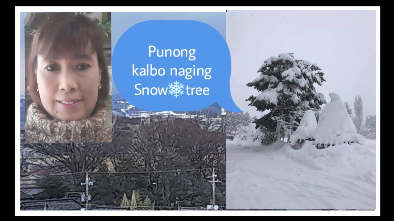 Punong kalbo naging Snow tree - YouTube
