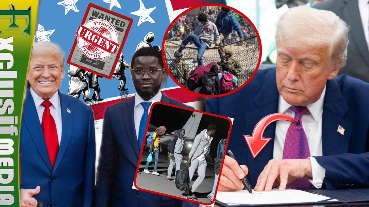 Trump tend la main à Diomaye : Offre choc sur l'immigration ! - YouTube