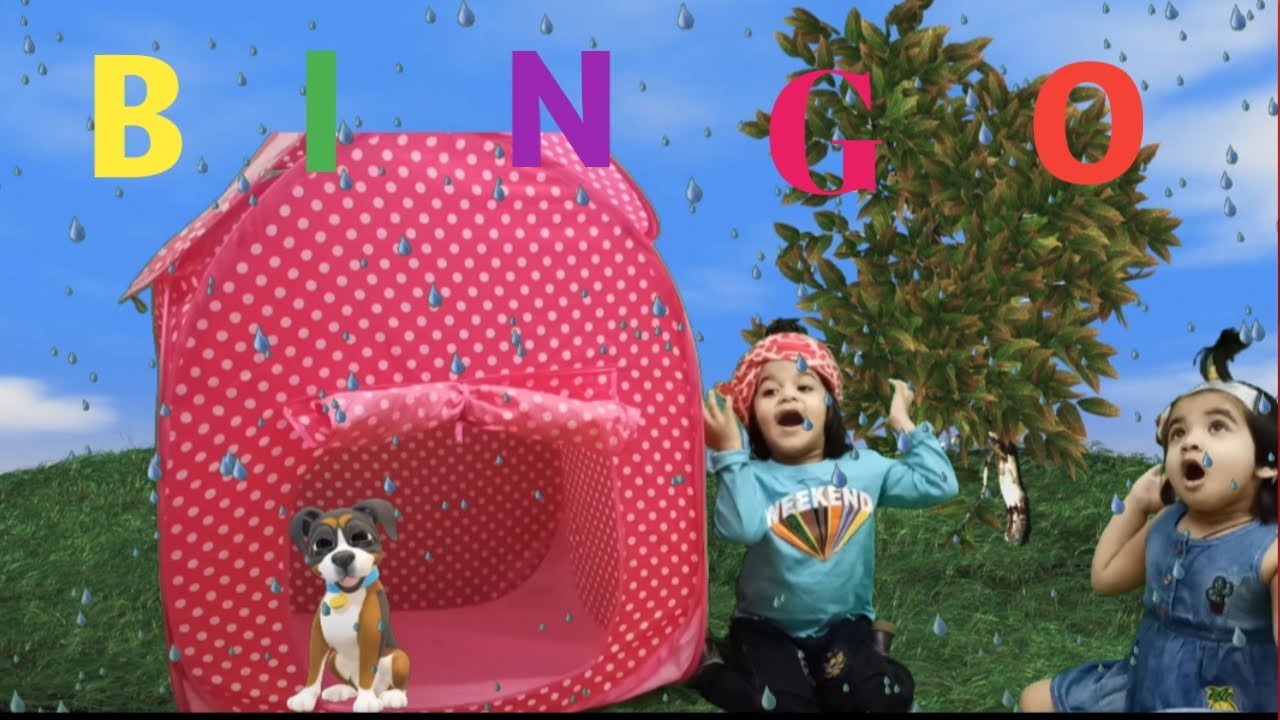 Bingo Dog Song | Nursery Rhymes & Kids Songs | Twintalestv - YouTube