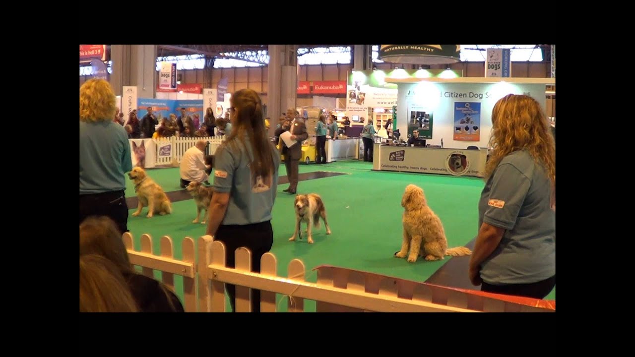Good Citizen Dog Scheme Silver Display 1 - Crufts 2013 - YouTube