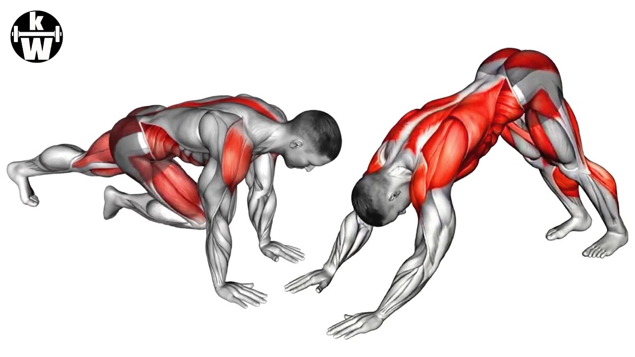 A Full Body Workout and Cardio Workout in One! Minimum daily exercise ...