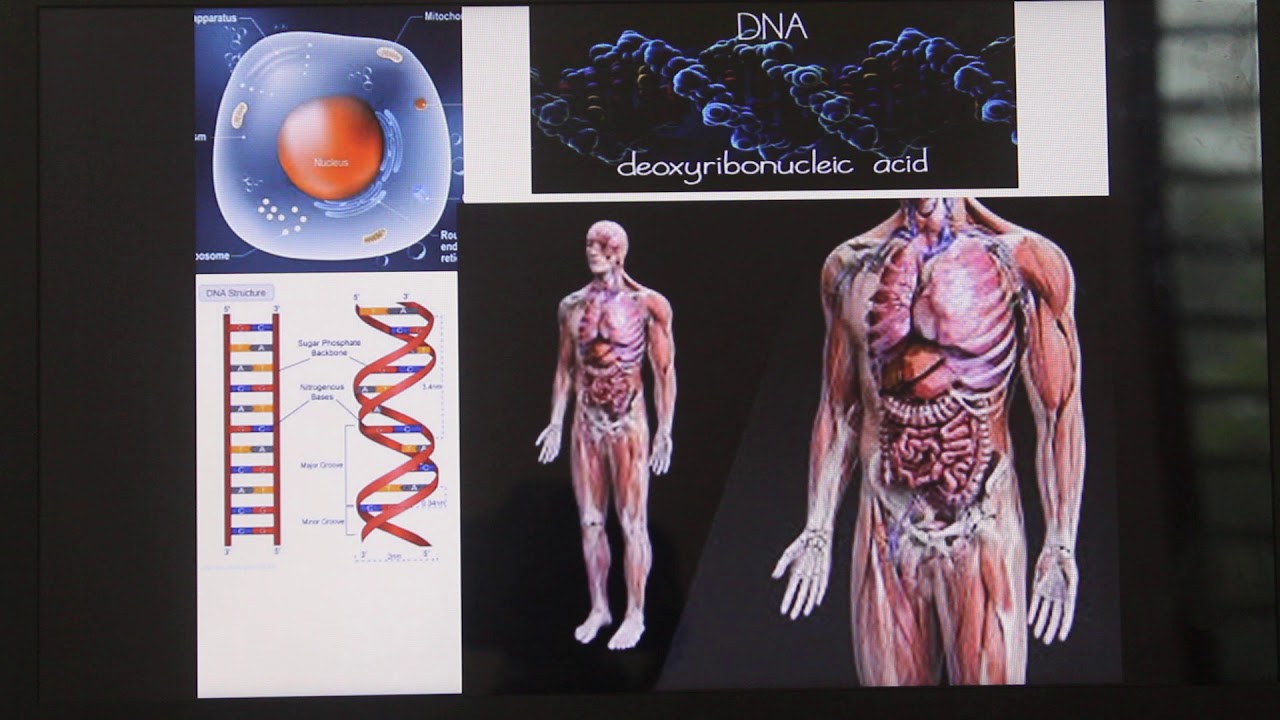 Welcome to the world of Biology - YouTube