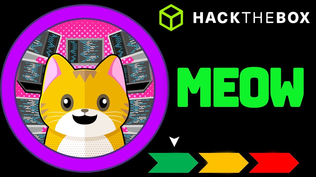 HackTheBox - Meow [Walkthrough] - YouTube