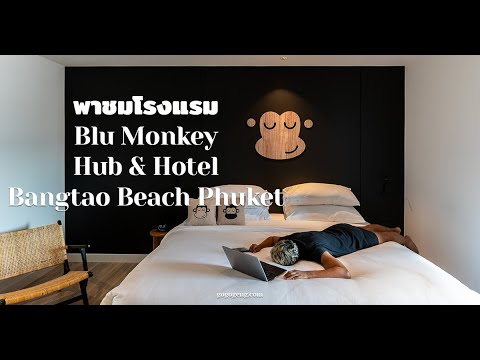 Blu Monkey Hub & Hotel Bangtao Beach Phuket - YouTube