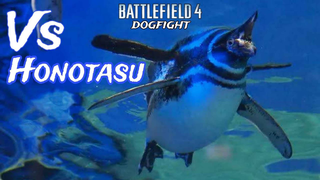 [BF4] DogFight VS Honotasu #2 - YouTube