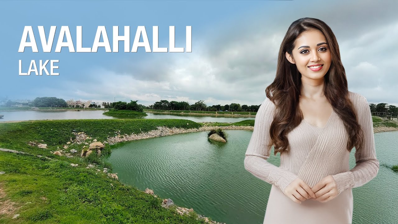 Avalahalli Lake: A Peaceful Bird & Fish Haven in Yelahanka - YouTube