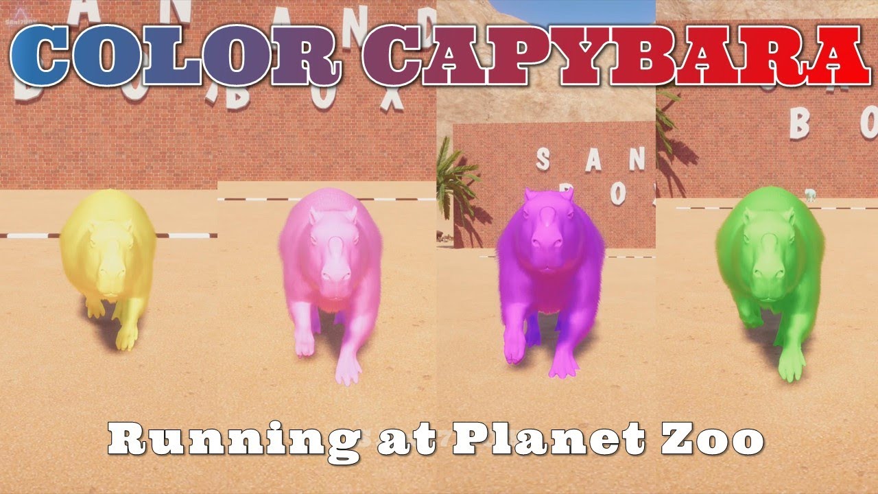 Color Capybara Planet Zoo Virtual Race - Capybara yellow, pink, purple ...