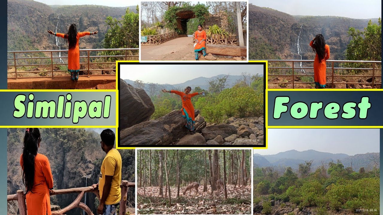 Weakened Tour During Durga Puja | Simlipal Tour | Simlipal Forest ...