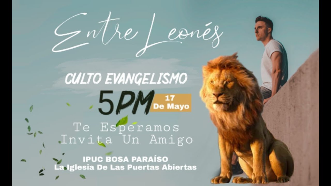 ENTRE LEONES - YouTube