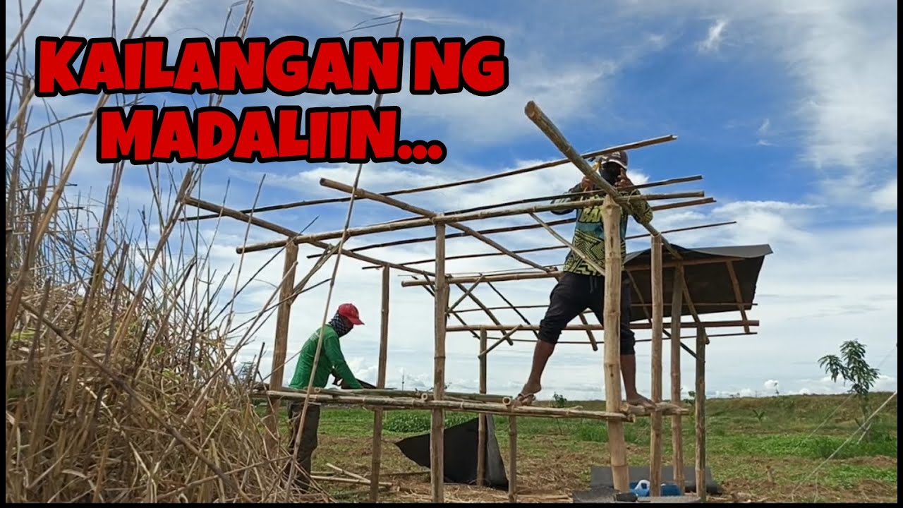 KULUNGAN NG KAMBING...KAILANGAN NG TAPUSIN... - YouTube