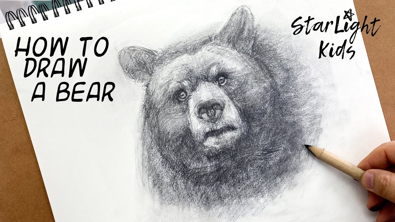 Bear Drawing ️ How to Draw a Bear | Drawing tutorials, Pencil drawings ...