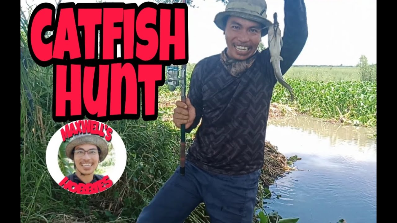 paano manghuli ng hito sa bingwit || HOOK FISHING || FISHING BAITS ...