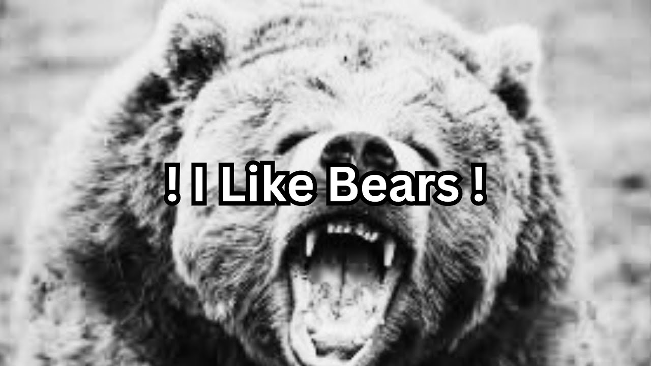 ! I Like Bears ! Music Video Without Lyrics - YouTube