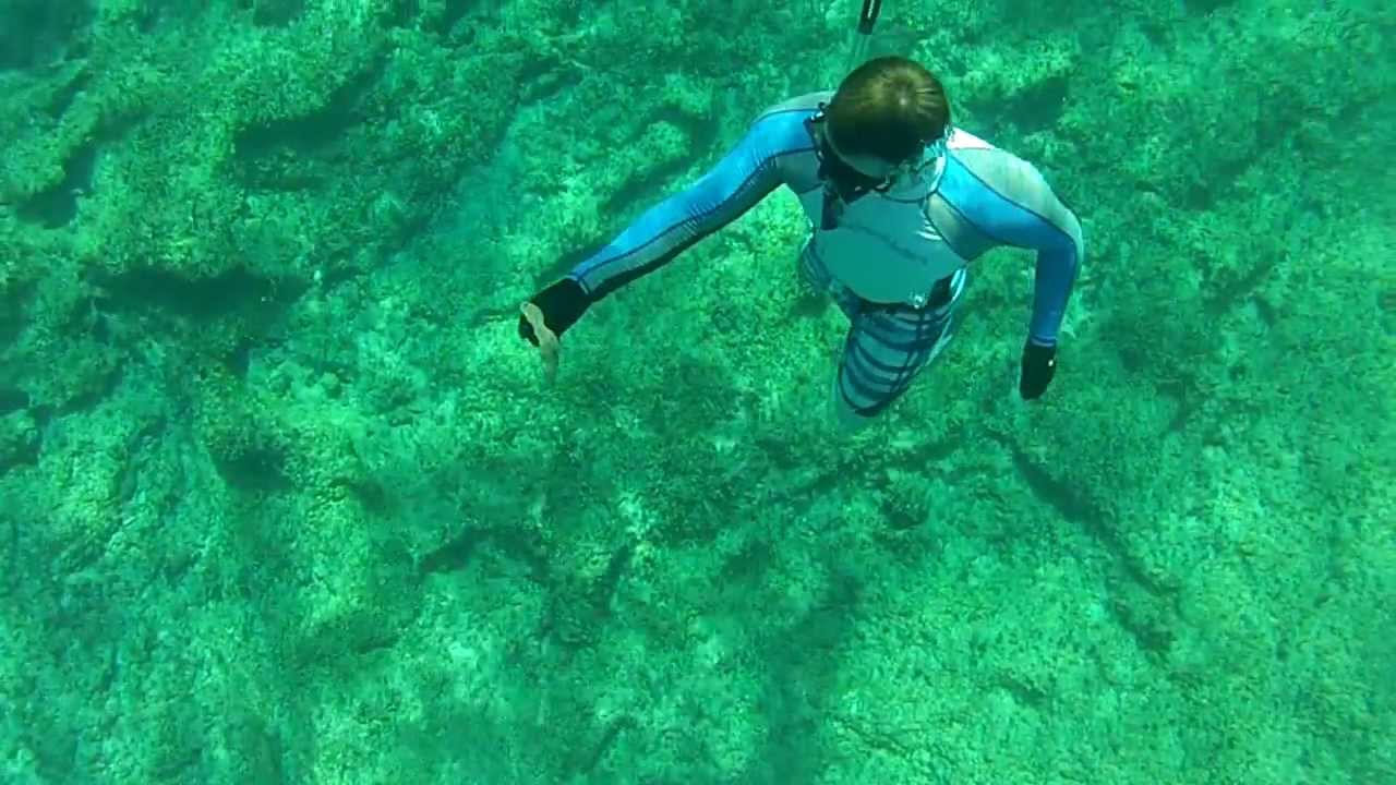 The Island of Crete, Greece. Freediving Stavros beaches. - YouTube