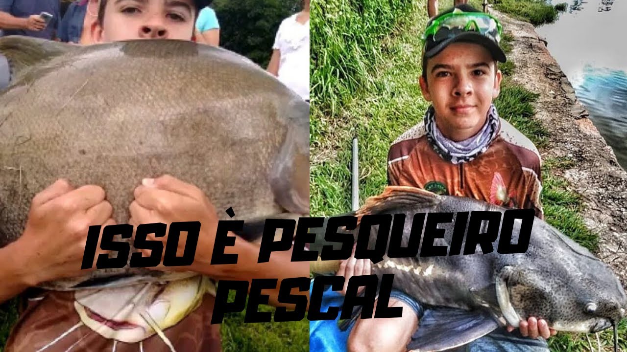 Brancão no Pesqueiro Pescal 🎣💥 - YouTube