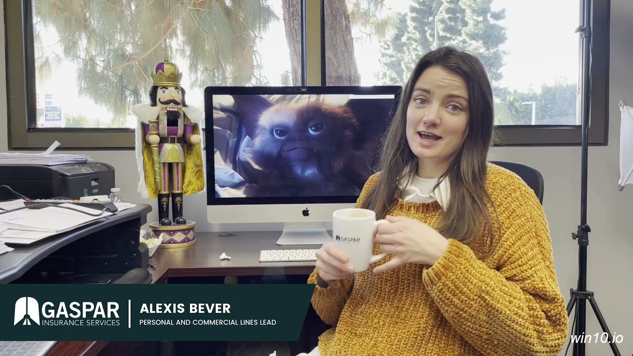 Holiday Movie Lesson by Alexis Bever, Agent at Gaspar Insurance ...