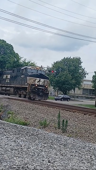 NS 4613 Pulling Intermotal Train - YouTube