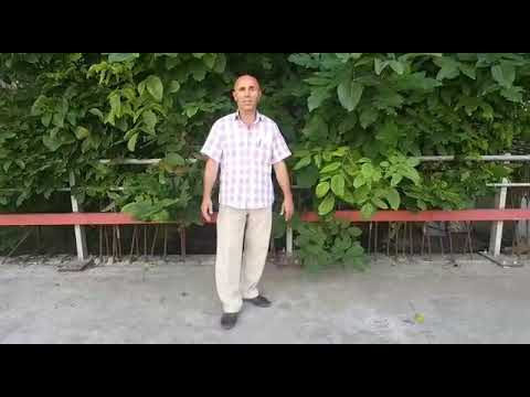 Kemal Sunal'ın gençliğini hatırlattırıyor